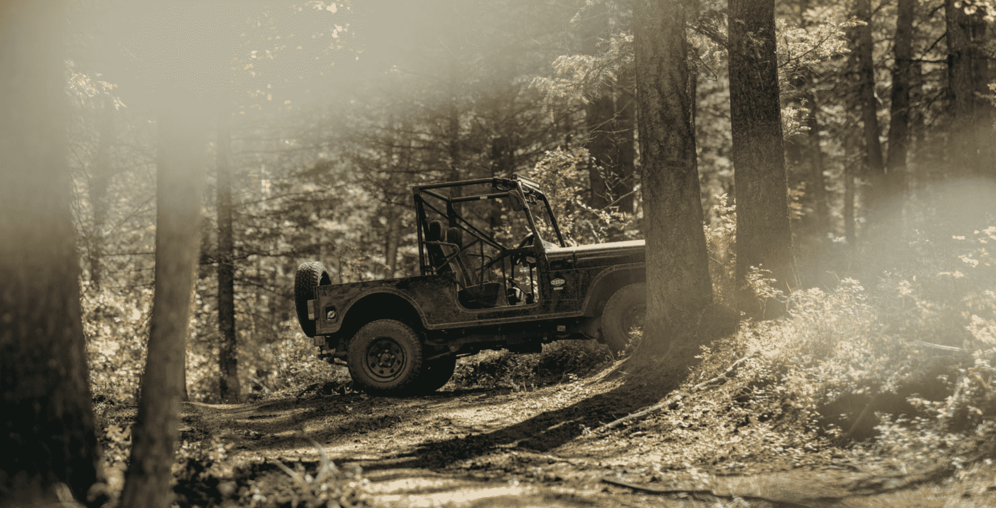 ROXOR UTV | Side-by-Side 2024 All-Weather Model